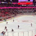 Ottawa: Ottawa Senators Ice Hockey Game Ticket - Experience Value: What You Get for $25