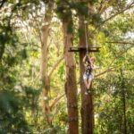 Ourimbah: Central Coast Treetops Adventure Tree Ropes Course - Who Is This Experience Best For?