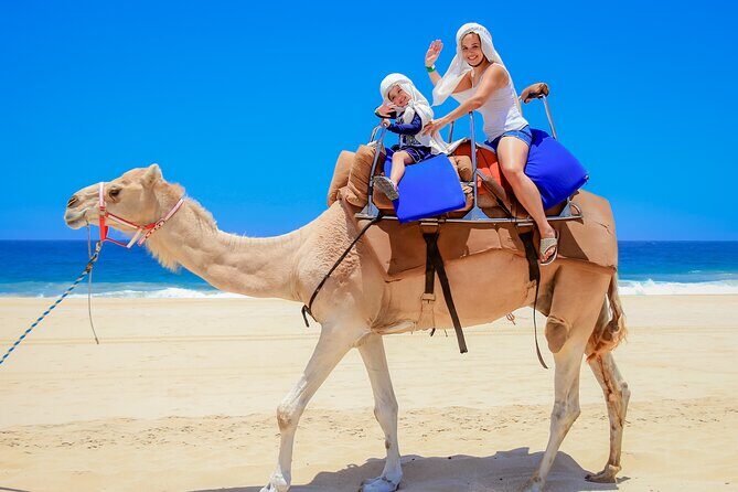 Outback Camel Ride - What Do Travelers Say?