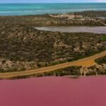 Outback Coast 4 Day Tour - What Travelers Say and Why It Matters