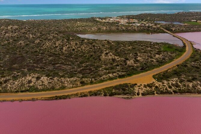 Outback Coast 4 Day Tour - What Travelers Say and Why It Matters