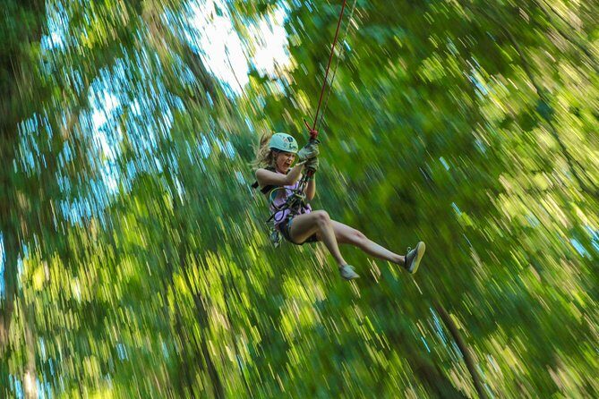 Outdoor Ziplining and UTV Adventure from Los Cabos - Authentic Insights from Real Travelers