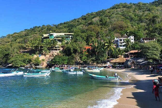 Outdoor Ziplining, Waterfalls & Speed boat in Puerto Vallarta - Authentic Experiences and Guest Perspectives