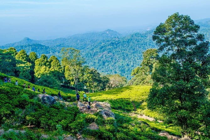 Overnight All-Inclusive Tea Plantation Adventure in Kandy - A Detailed Look at the Itinerary