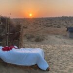 Overnight Camel Safari: Non-Touristic, Sleep Under the Stars! - Practical Tips for Making the Most of Your Safari