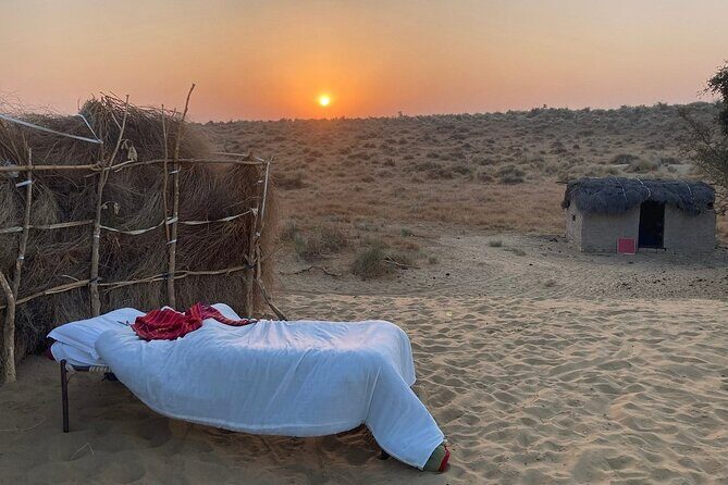 Overnight Camel Safari: Non-Touristic, Sleep Under the Stars! - Practical Tips for Making the Most of Your Safari