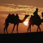 Overnight Camping With Camel Safari In Jaisalmer - What We Love About This Tour
