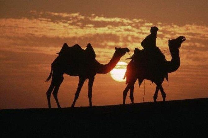 Overnight Camping With Camel Safari In Jaisalmer - What We Love About This Tour
