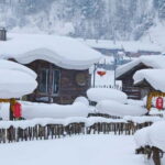 Overnight Experience at China Snow Town from Harbin with Accommodation - Authentic Reviews and Traveler Insights