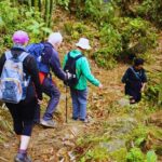 Overnight homestay in Sapa 2 days 1 night - Authenticity and Value — What Travelers Say