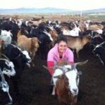 Overnight Semi-Gobi Tour with Nomadic HomeStay - Frequently Asked Questions
