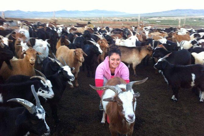 Overnight Semi-Gobi Tour with Nomadic HomeStay - Frequently Asked Questions