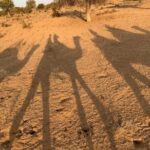 Overnight Stay In Swiss Tent With Camel Safari & Folk Dance - Who Should Consider This Tour?