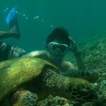 Package 3 days : City Tour, Snorkeling, & Hiking to Waterfalls - Authentic Experiences and Local Touches