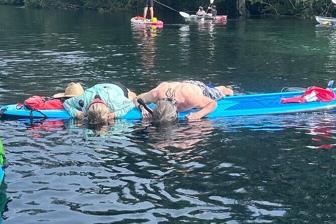 Paddleboard Rental  Three Sisters Springs & Manatee Refuge - Who Will Love This Experience?