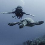 PADI Discover Scuba Diving - The Itinerary: Step-by-Step Overview