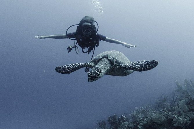 PADI Discover Scuba Diving - The Itinerary: Step-by-Step Overview