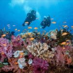 PADI Discover Scuba Diving - The Itinerary in Detail