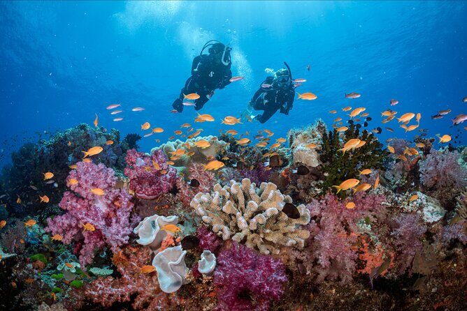 PADI Discover Scuba Diving - The Itinerary in Detail