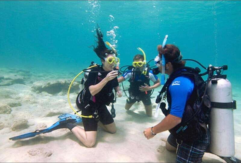 PADI Discover Scuba Diving: at Hol Chan Marine Reserve - What the Tour Looks Like: From Introduction to Adventure