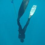 PADI Freediver Course - The Experience: What to Expect on the Tour