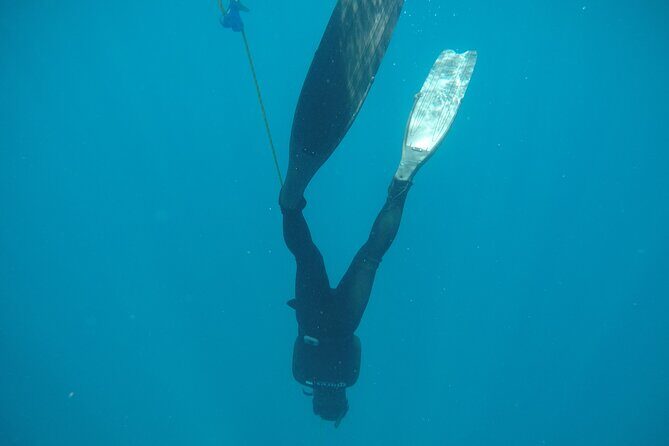 PADI Freediver Course - The Experience: What to Expect on the Tour