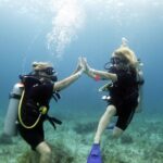 PADI Open Water Diver Course - Why This Course is a Great Choice