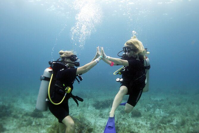 PADI Open Water Diver Course - Why This Course is a Great Choice