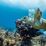 PADI Open Water Diver Course in Playa del Carmen - The Cost and Its Value