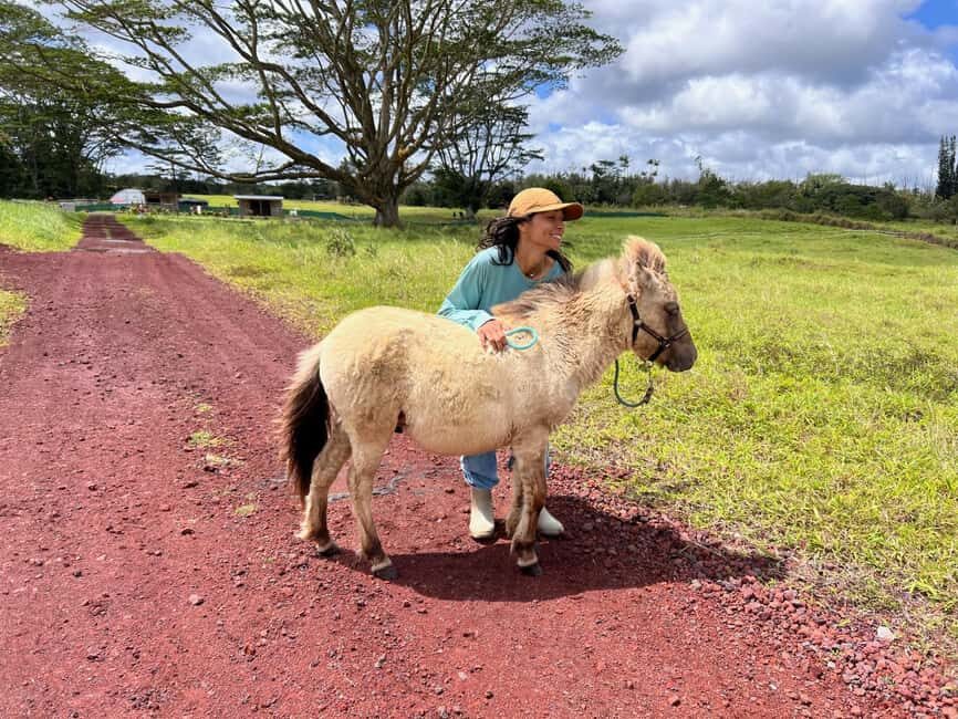 Pahoa: Ranch Tour with Animal Feedings and Interactions - Exploring the Pahoa Ranch Experience in Detail