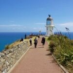 Paihia: Cape Reinga and Ninety Mile Beach Trip with Lunch - What makes this tour stand out?