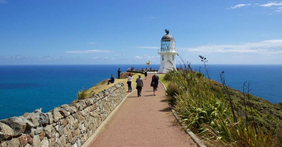 Paihia: Cape Reinga and Ninety Mile Beach Trip with Lunch - What makes this tour stand out?