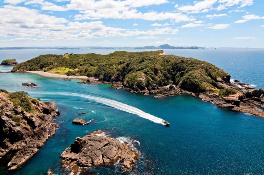 Paihia: Hole in the Rock Fast Boat Ocean Adventure - Itinerary Breakdown: What You Can Expect