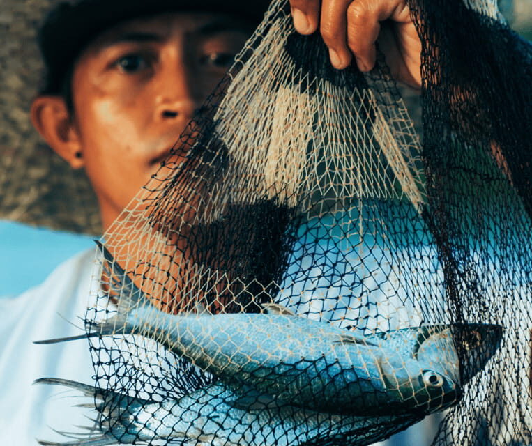 PALAWAN: El Nido Fishing Tour with Local Fishermen PRIVATE - Who Will Love This Tour?