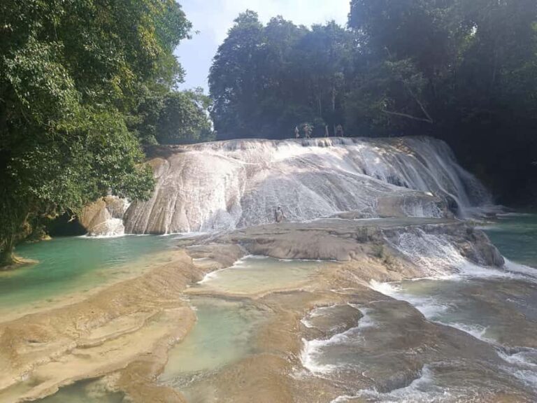 Palenque Archeological zone and Roberto Barrios Waterfalls - Value for Money and Practical Tips
