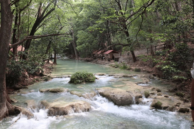 Palenque: Rafting and Jungle Trail Adventure - What’s Included and Value?