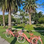 Palm Beach: 3 hr Guided Electric Bike Tour - Key Points