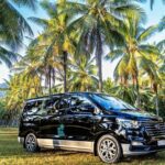 Palm Cove to/from Cairns ONE WAY Private Transfer 6 pax - Why This Transfer Works Well