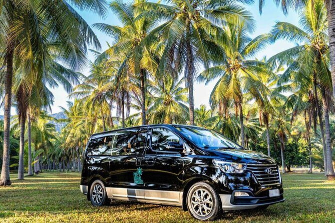 Palm Cove to/from Cairns ONE WAY Private Transfer 6 pax - Why This Transfer Works Well