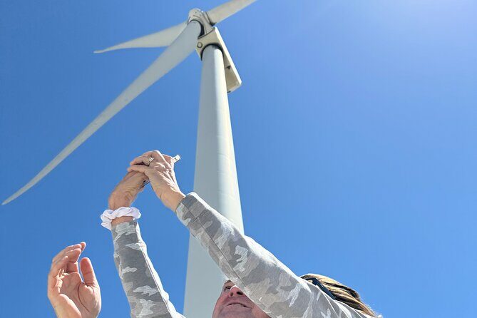 Palm Springs Windmill Guided Tour by Golf Cart - Why This Tour Offers Good Value