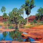 Palm Valley 4WD Tour from Alice Springs - An In-Depth Look at the Itinerary