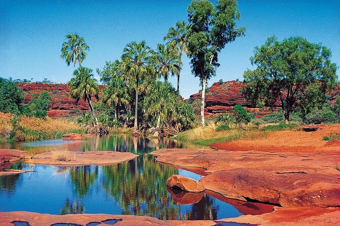 Palm Valley 4WD Tour from Alice Springs - An In-Depth Look at the Itinerary