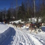 Palmer: "Dogs and Glaciers" Sledding and Helicopter Tour - What Travelers Say