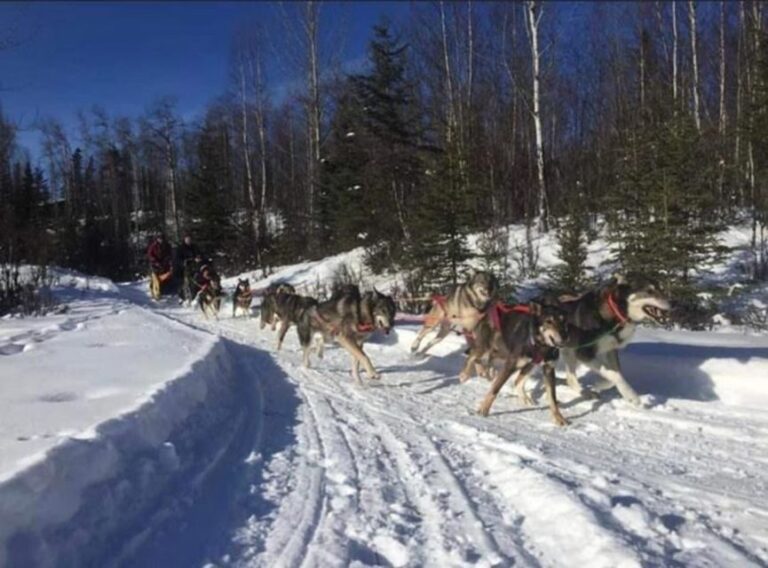 Palmer: "Dogs and Glaciers" Sledding and Helicopter Tour - What Travelers Say