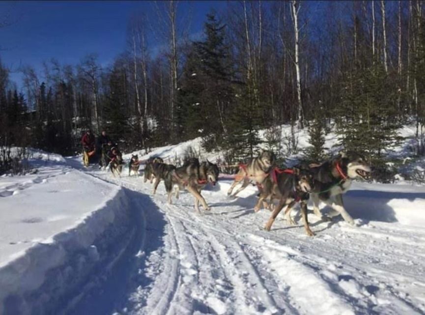 Palmer: "Dogs and Glaciers" Sledding and Helicopter Tour - What Travelers Say