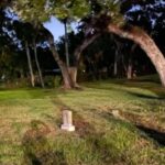 Palmetto: Ghost & History Tour by Silent Slayer Ghost Tours - Practical Details and Tips