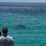Panama City Beach: Dolphin Sightseeing Trip by Catamaran - Why This Tour Stands Out