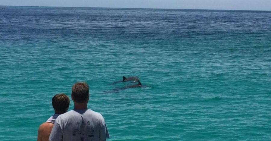 Panama City Beach: Dolphin Sightseeing Trip by Catamaran - Why This Tour Stands Out