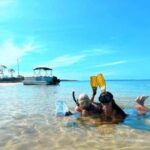 Panama City Beach: Dolphin Watching and Snorkeling Tour - Why This Tour Offers Good Value