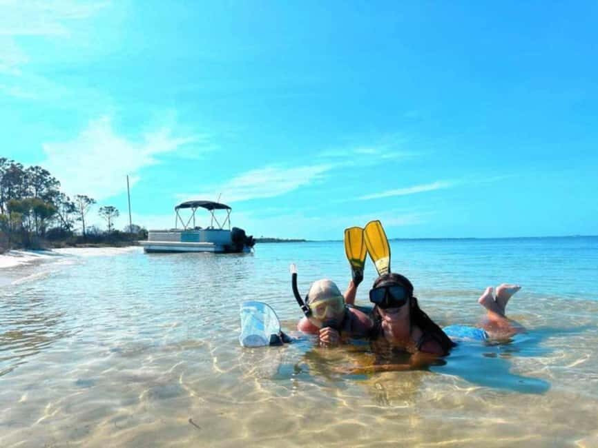 Panama City Beach: Dolphin Watching and Snorkeling Tour - Why This Tour Offers Good Value